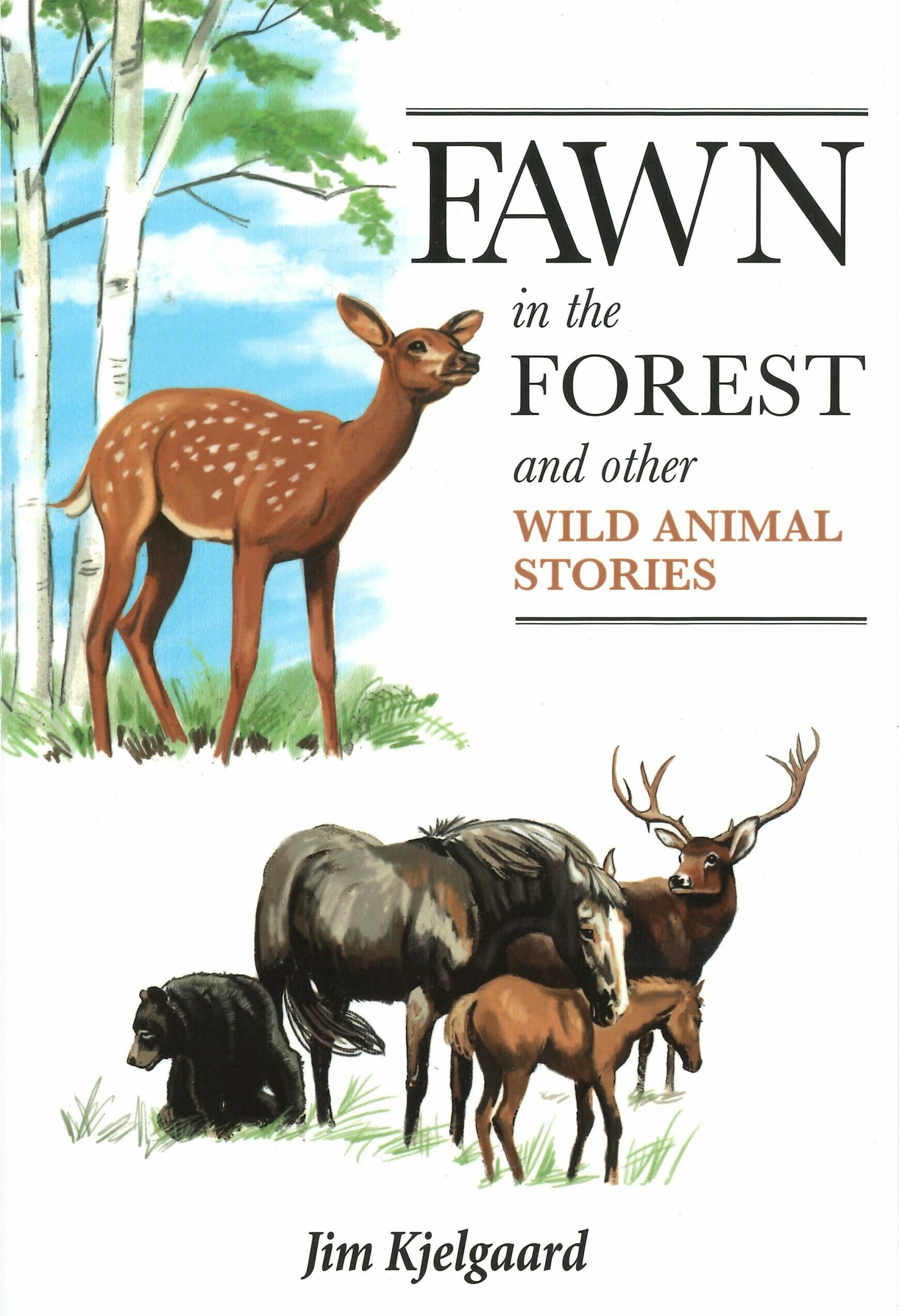 Fawn in the Forest - Home Messenger