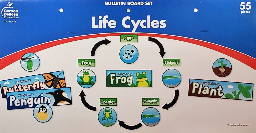 Life Cycles Bulletin Board Set - Home Messenger