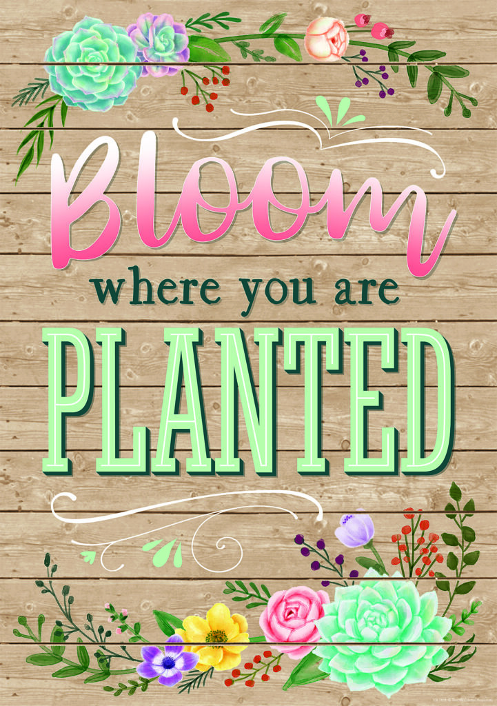 Rustic Bloom, Bloom Where You Are Planted Poster - Home Messenger